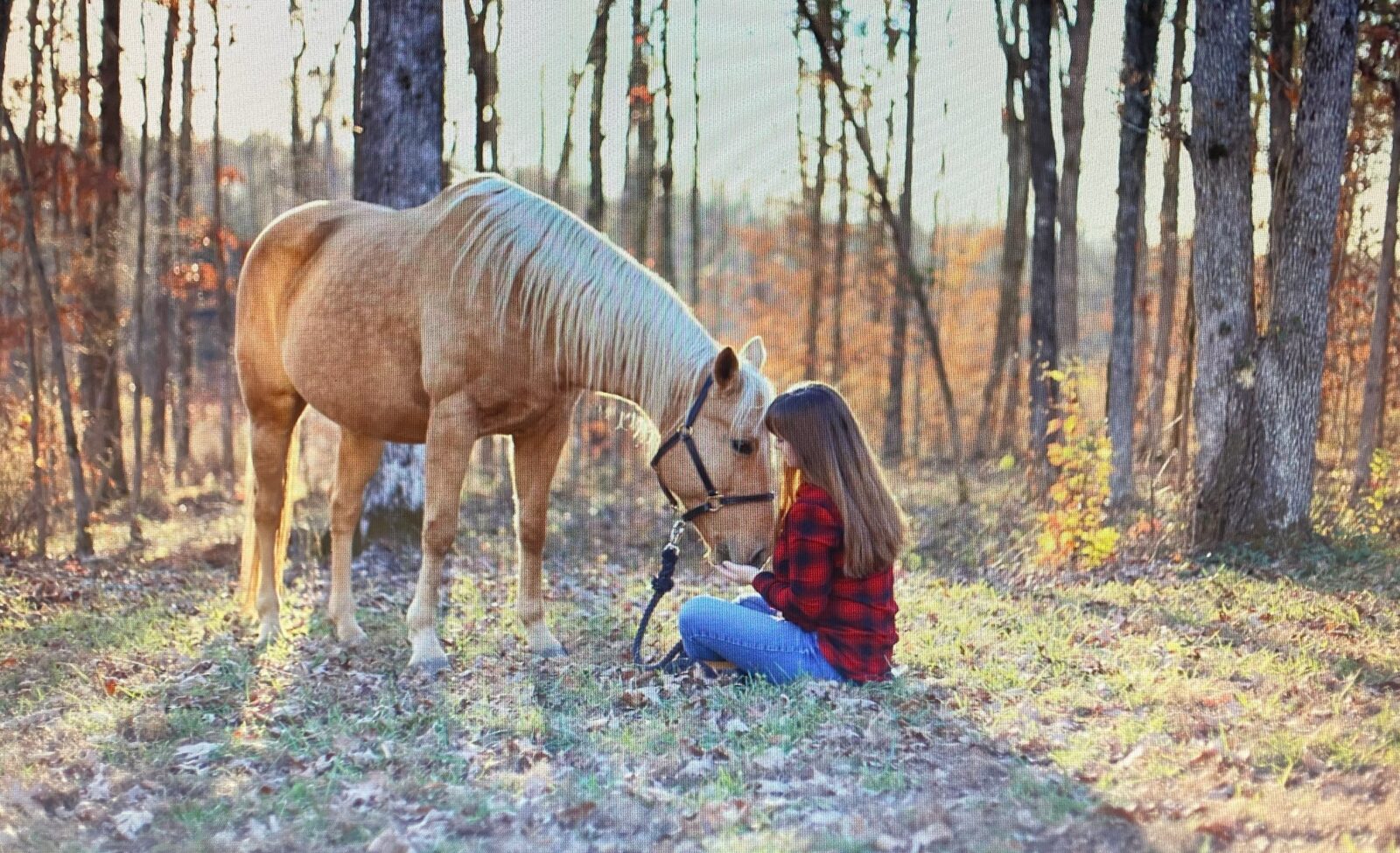 Pet Sitting Services in Franklin, TN | Dog Walking | Farm Sitting